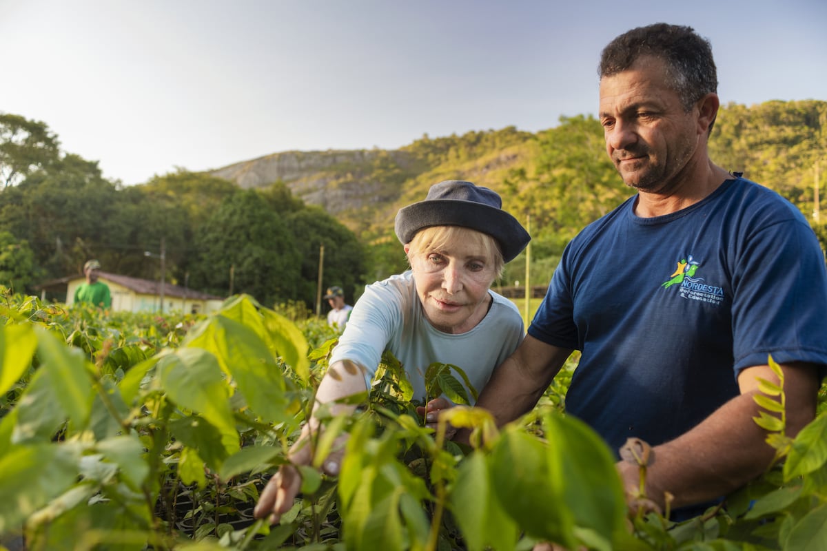 La bióloga que se propuso repoblar los bosques de Brasil | EL PAÍS ...