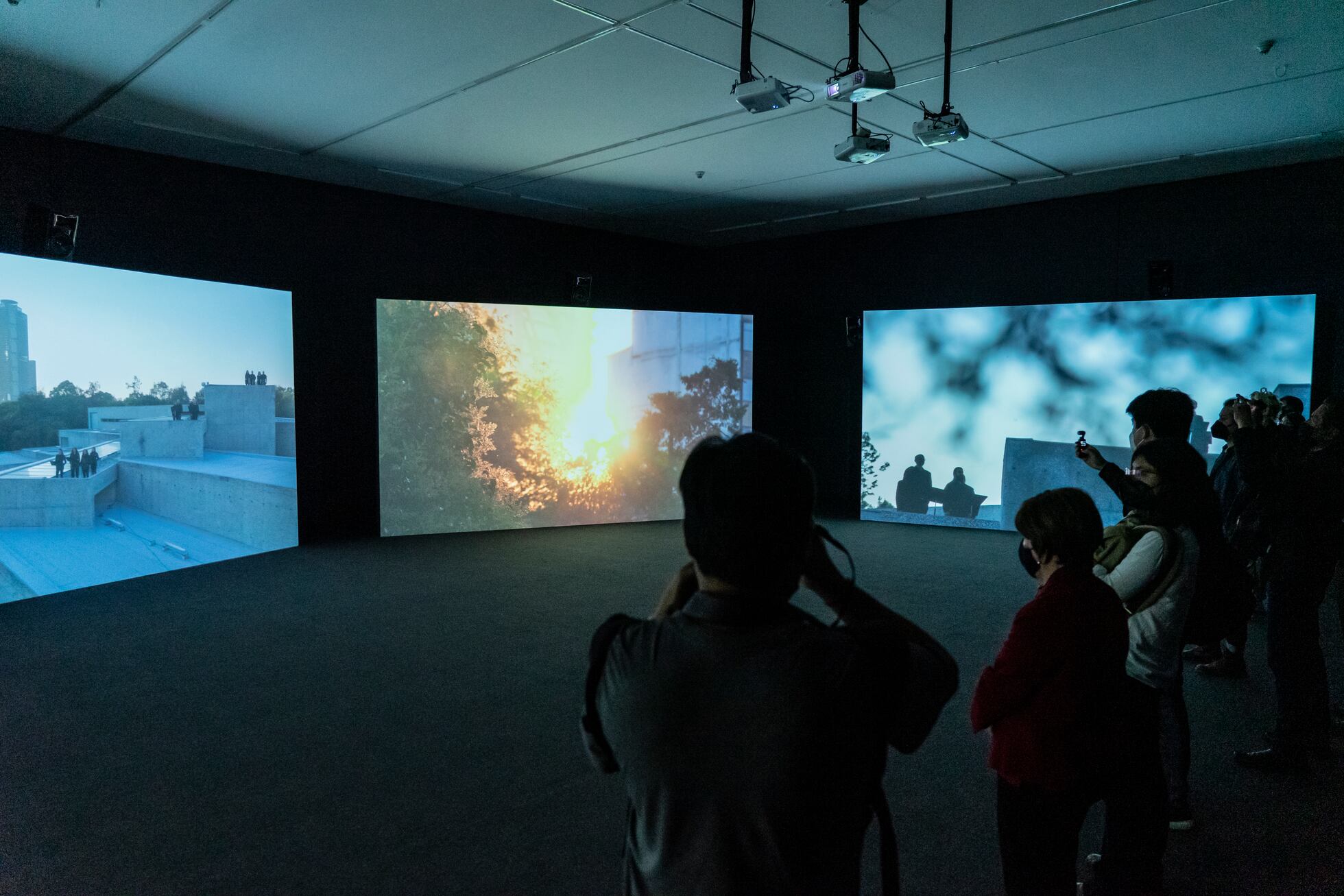 'Más Allá de los Árboles': El Museo Tamayo celebra sus 40 años con un ...