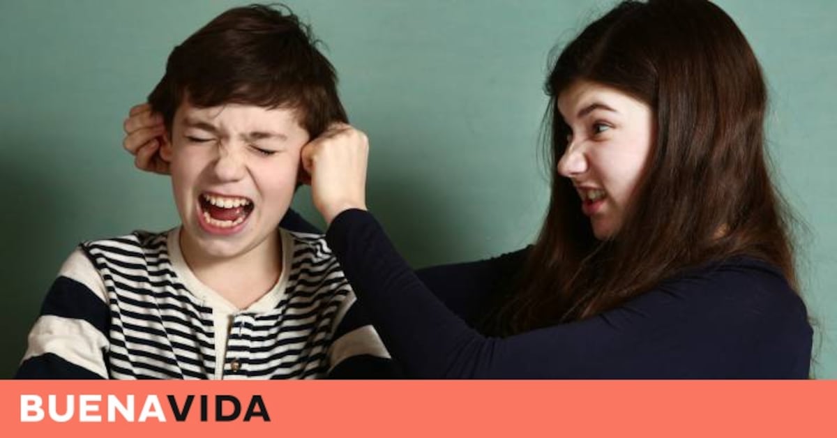 'Bullying' en la familia: qué pasa cuando tu acosador es tu hermano ...
