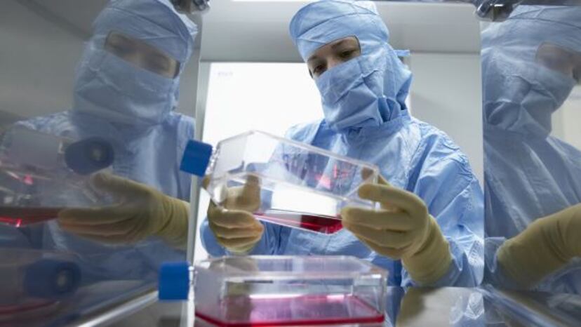 Laboratorios Ferrer en Cinco Días