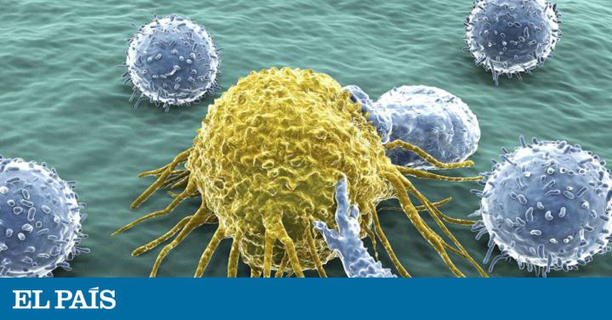 Cáncer: Contra la metástasis | Ciencia | EL PAÍS