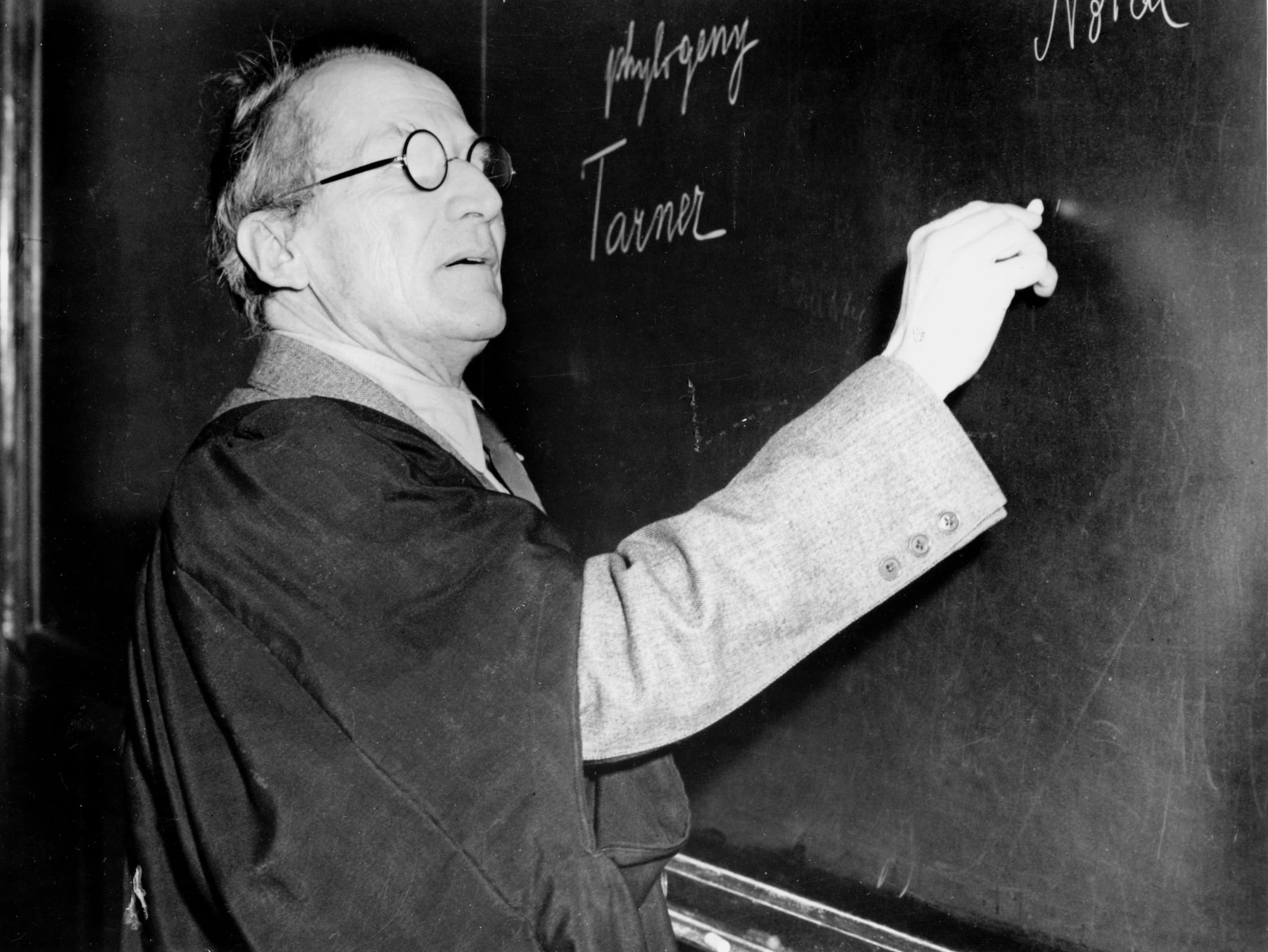 Erwin Schrödinger, la vibración universal | Babelia | EL PAÍS