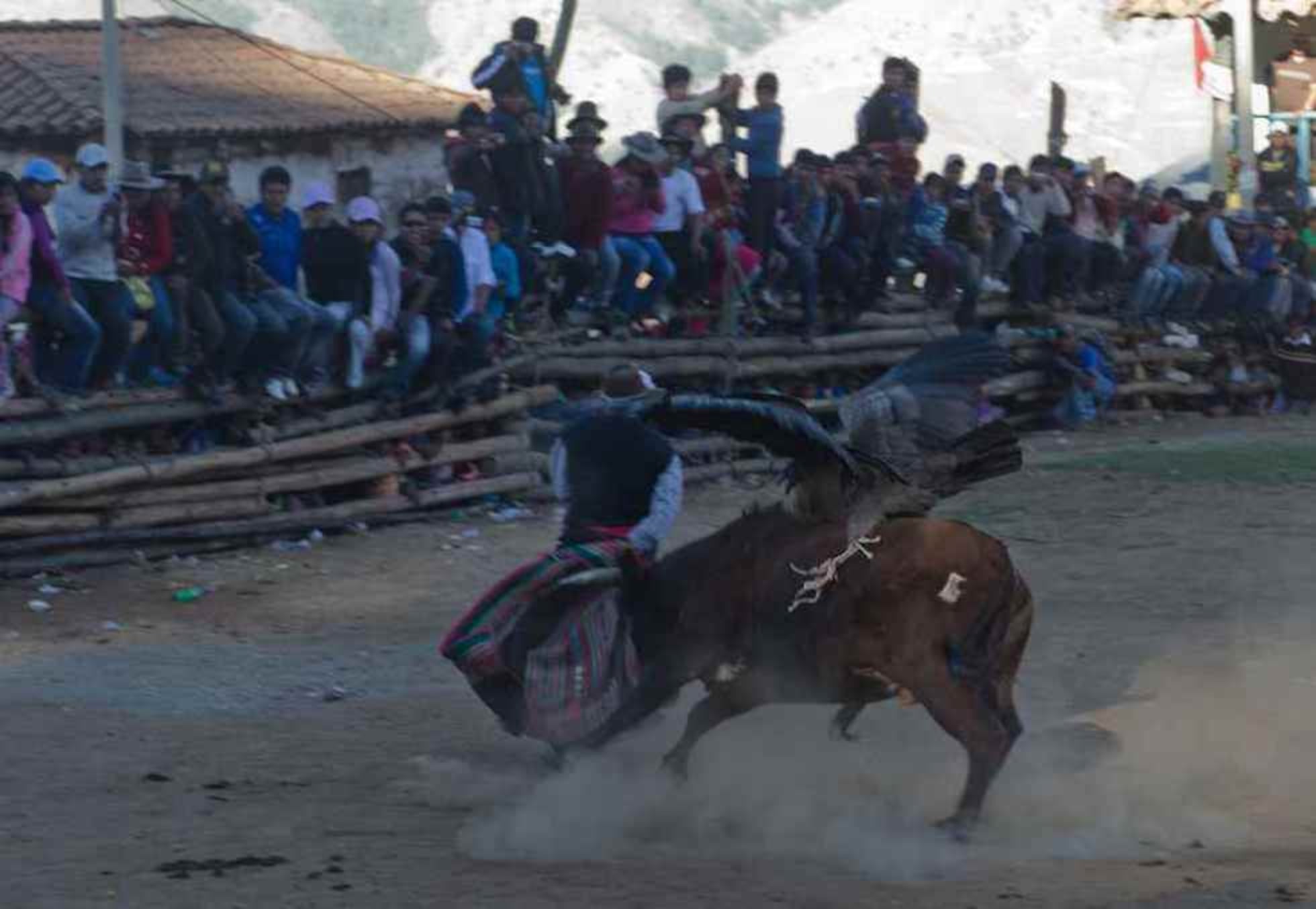 El cóndor y el toro | Fotos | Sociedad | EL PAÍS
