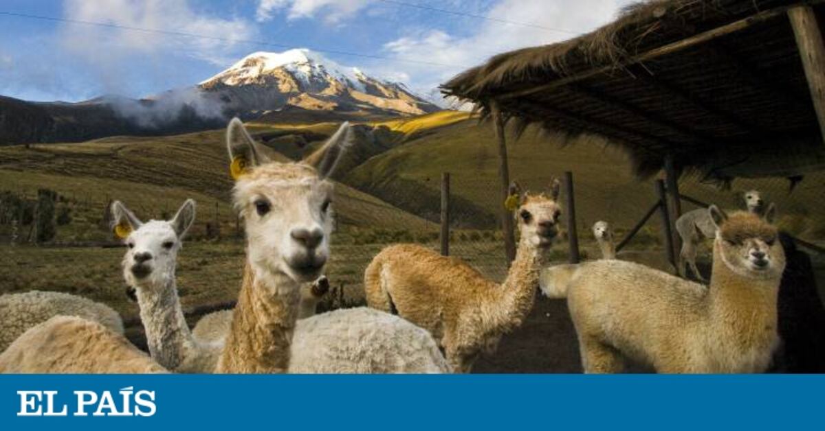 Más cerca del sol en Ecuador | El Viajero | EL PAÍS