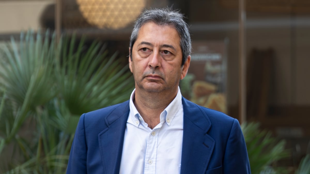 La huella digital del próximo vicepresidente valenciano: del caballo ...