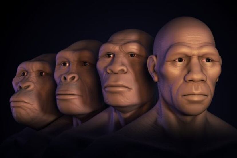 Así surgió el rostro humano | Ciencia | EL PAÍS