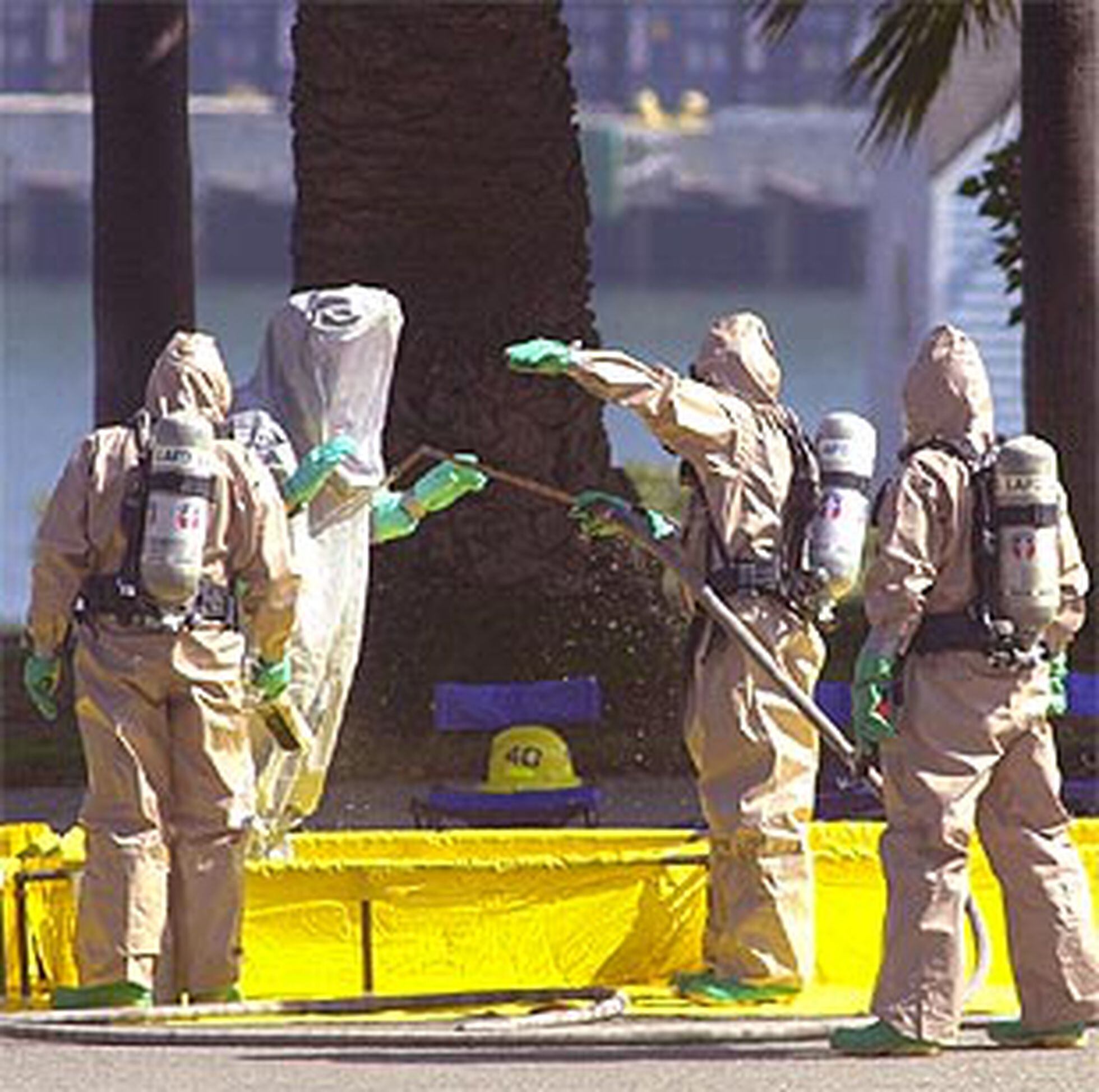 Un foco de ántrax en la embajada de EE UU en Lituania, primer caso ...