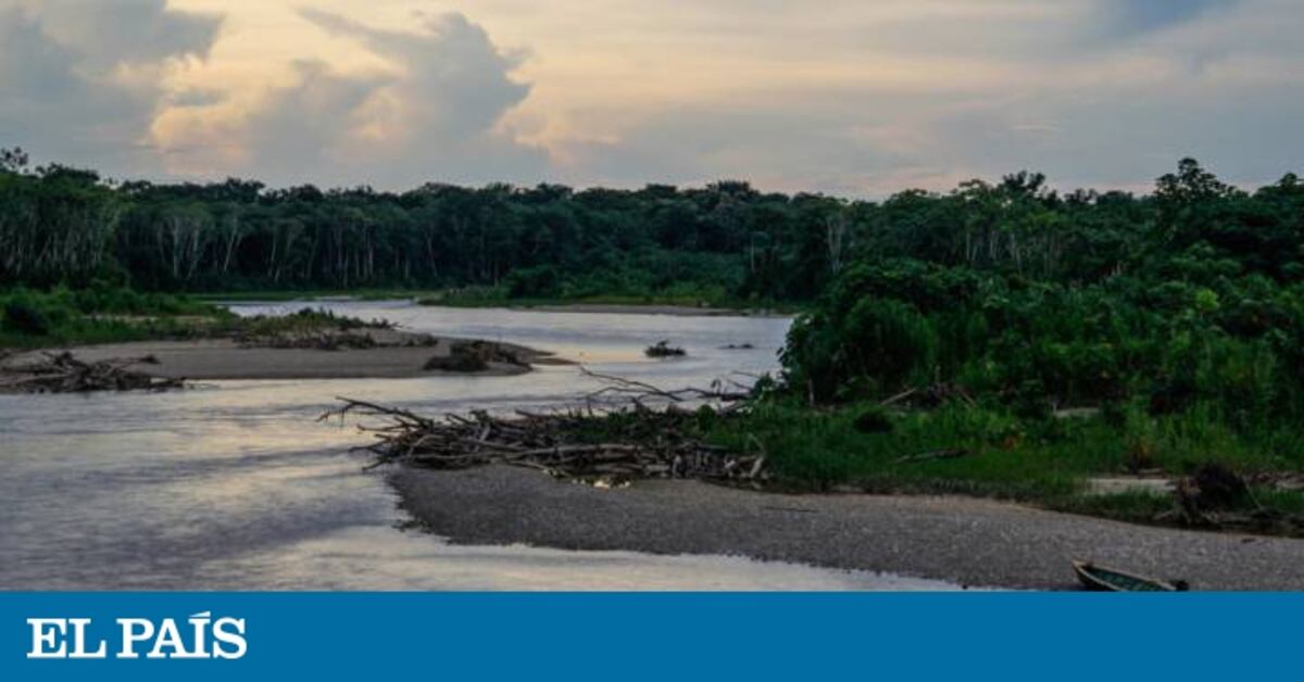 El cambio climático amenaza a la Amazonía que queremos | Planeta Futuro ...