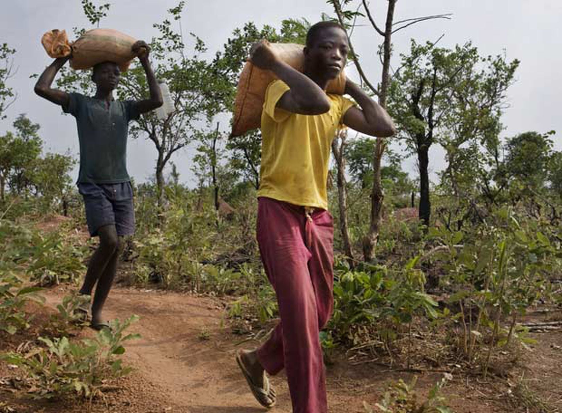 Explotación infantil | Internacional | EL PAÍS