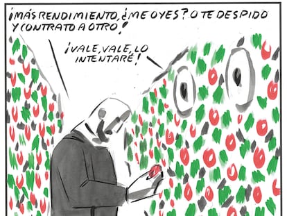 El Roto en EL PAÍS
