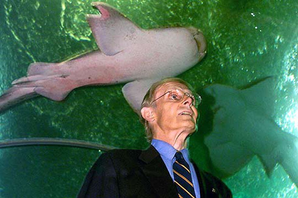 Peter Benchley | Cultura | EL PAÍS