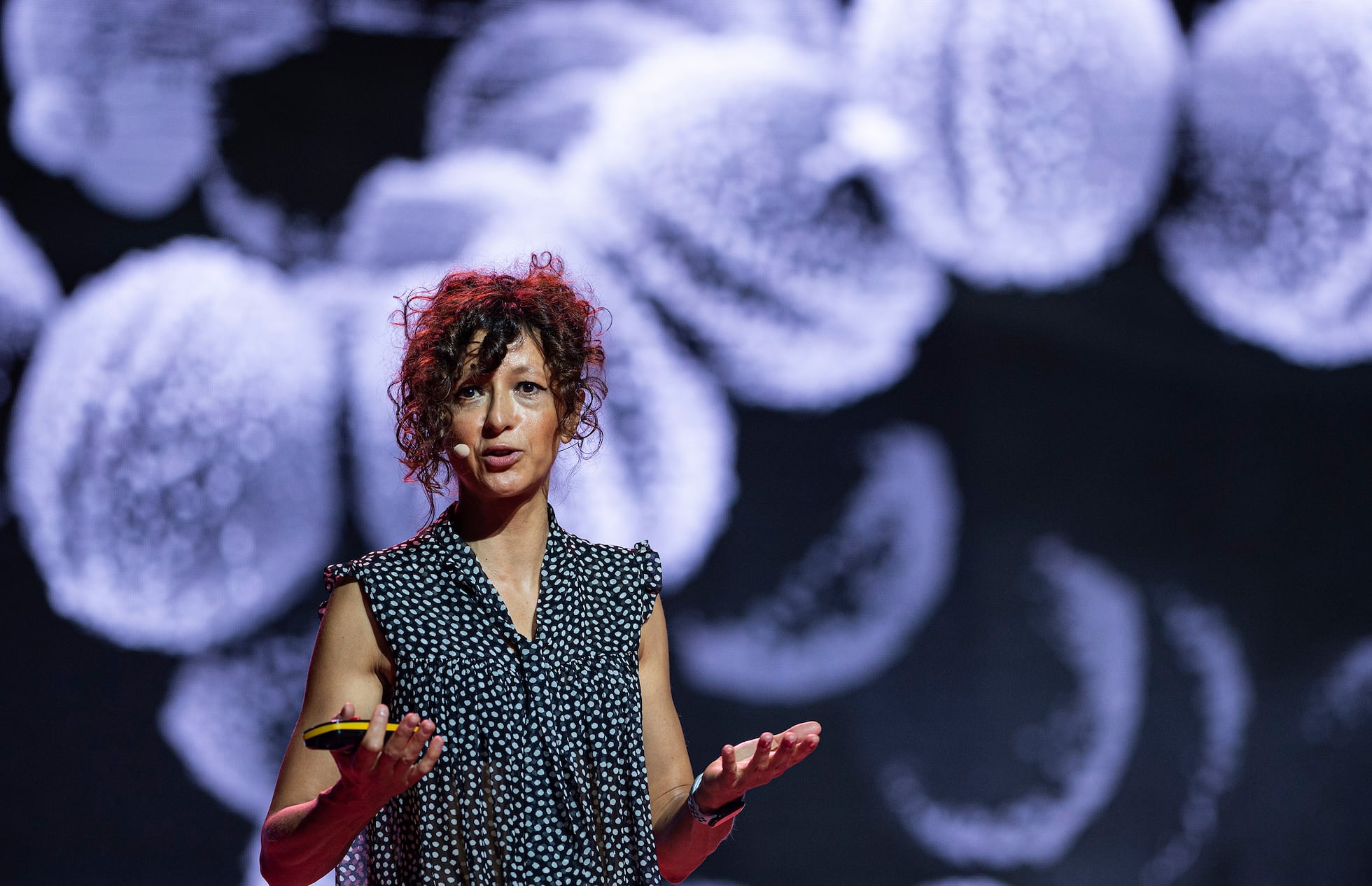 Emmanuelle Charpentier: “Los microbios son superiores a los humanos y ...