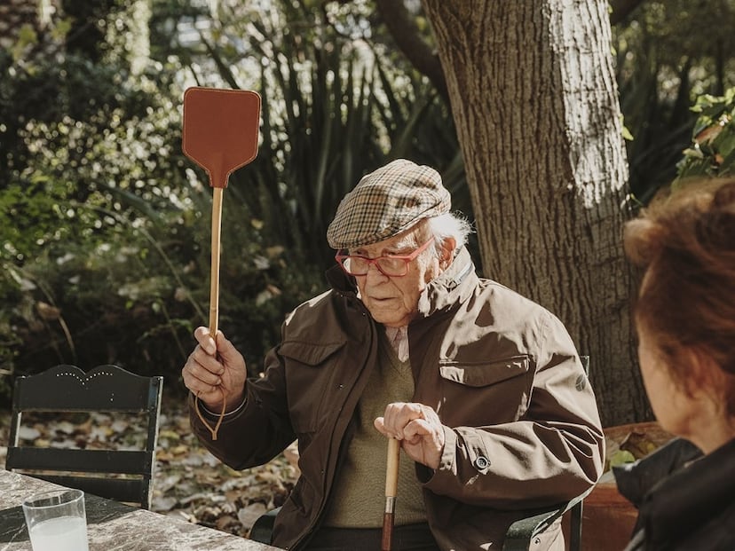 La asombrosa historia del matamoscas: de la pala con redecilla al ...