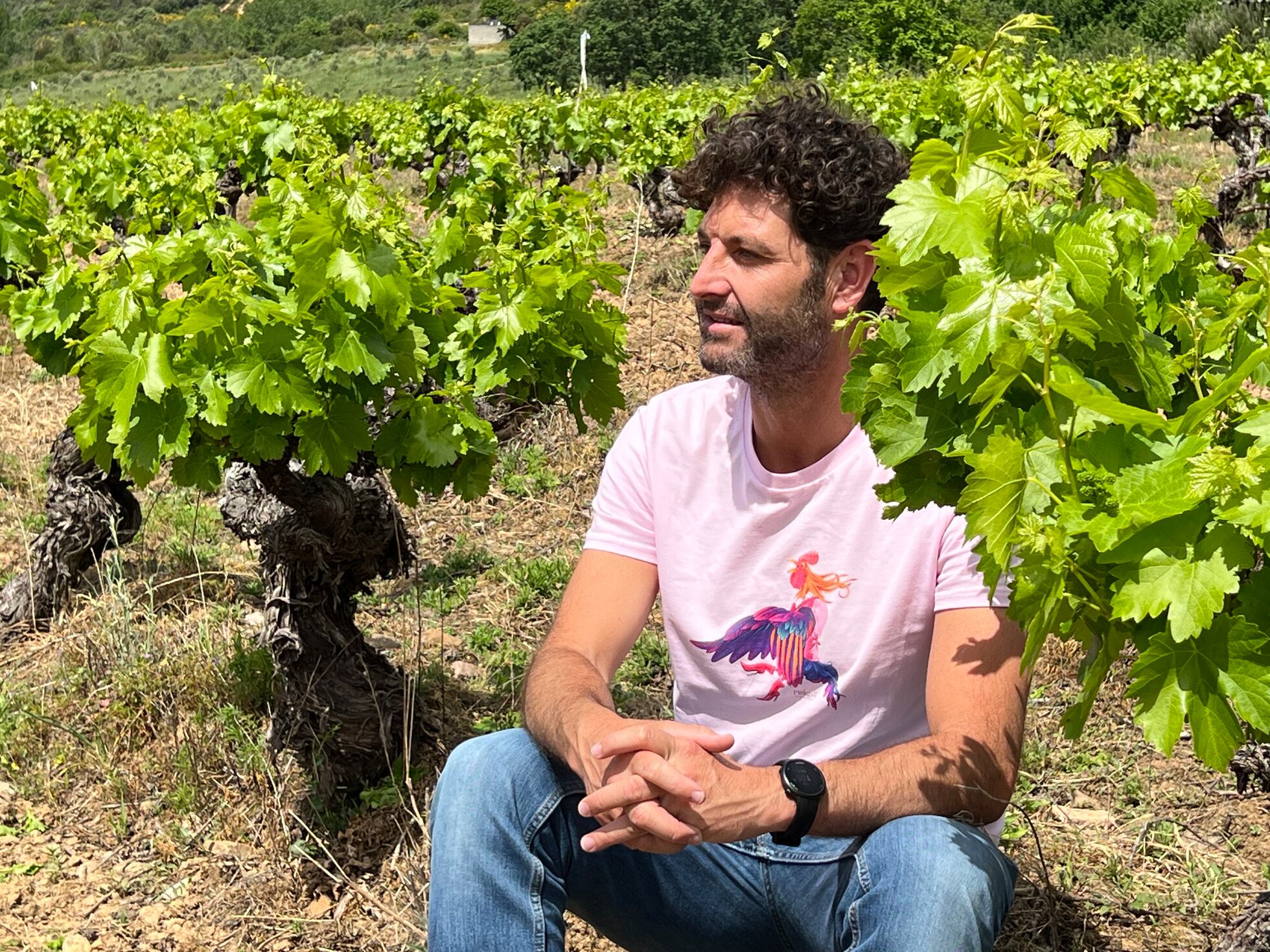 Los nuevos vinos nómadas: sin bodega, ni viñedos y con botellas ...