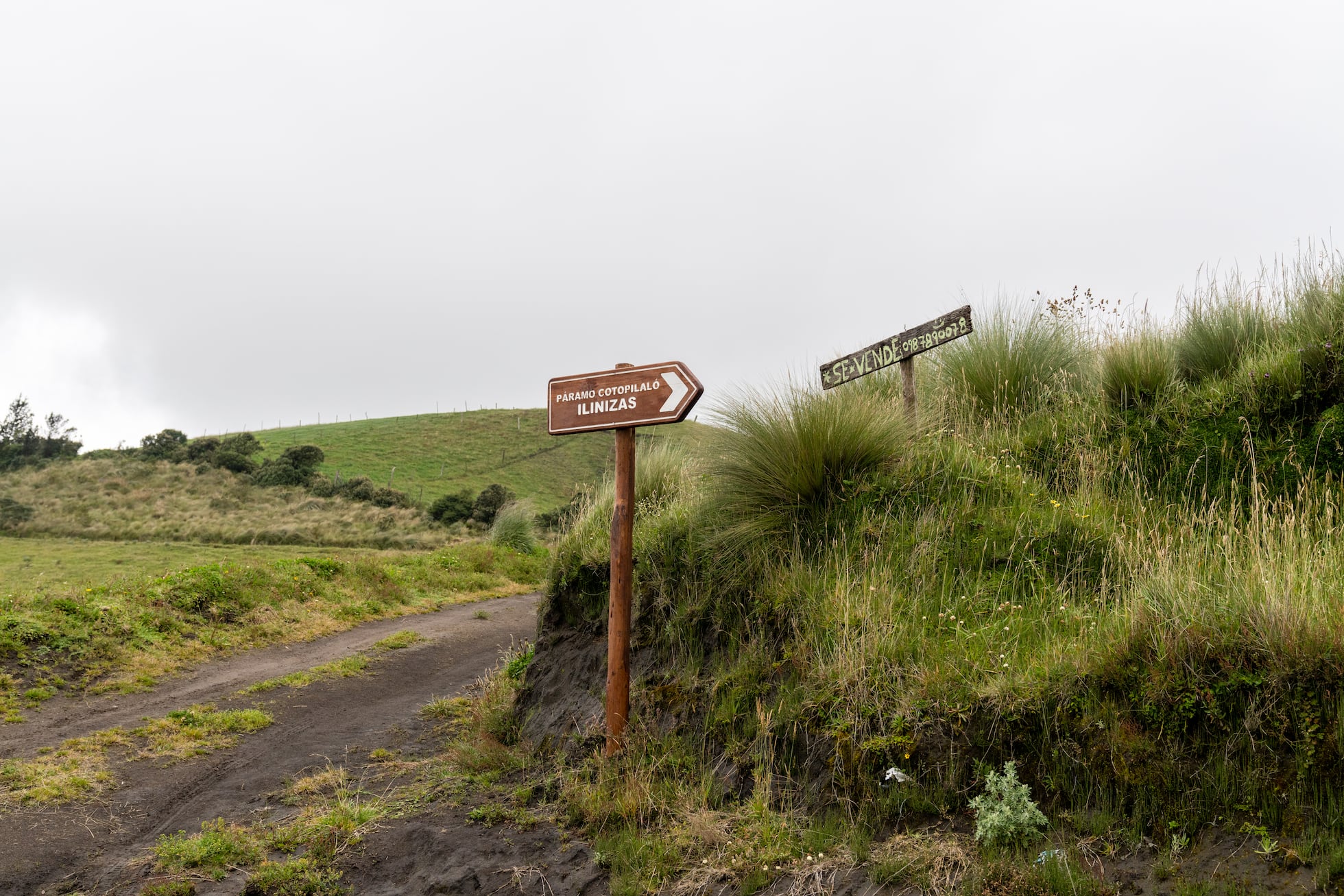 Un ejército de 800 mujeres para proteger los páramos y cuidar el agua ...