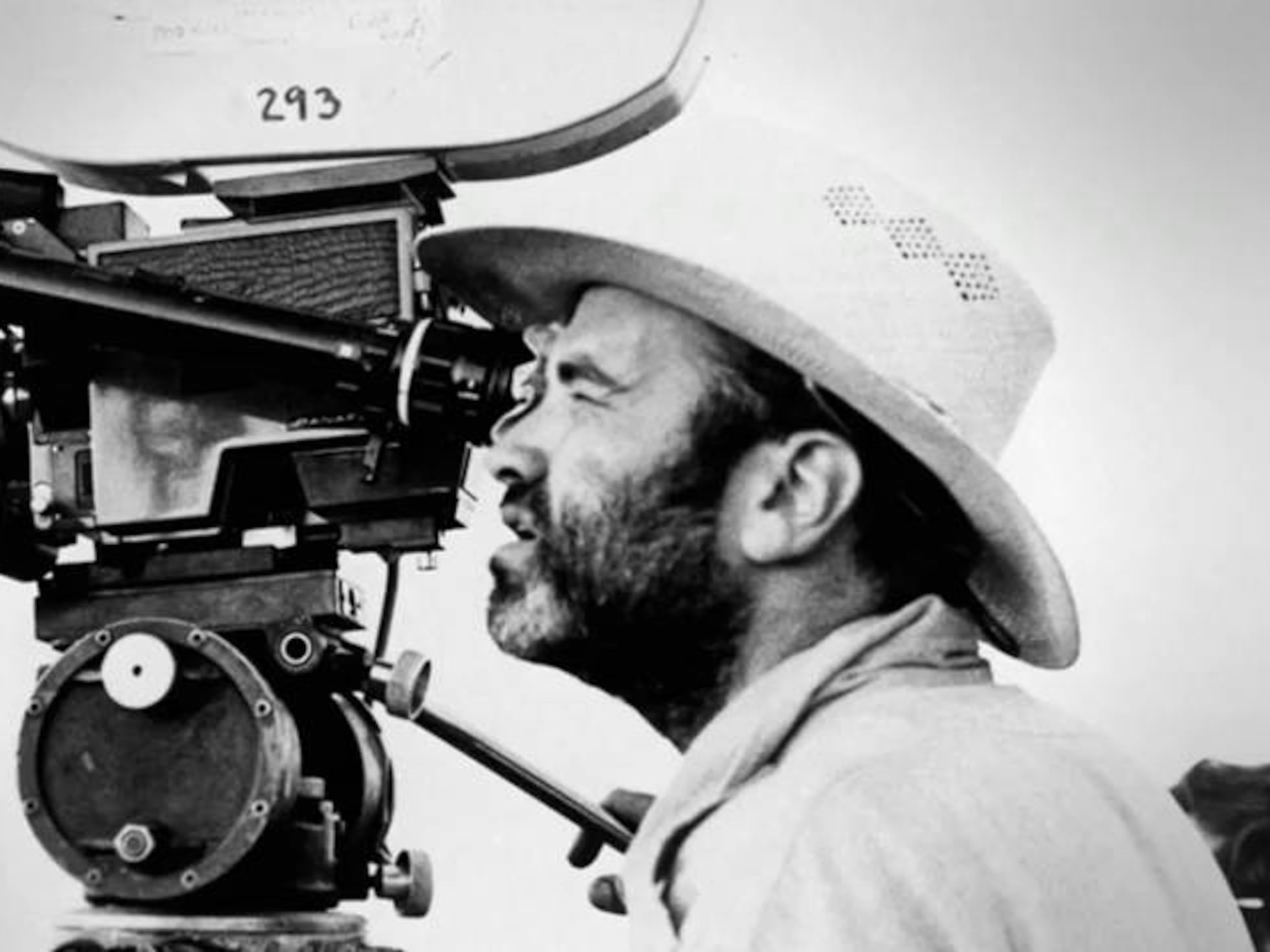 Terrence Malick | ppgbbe.intranet.biologia.ufrj.br