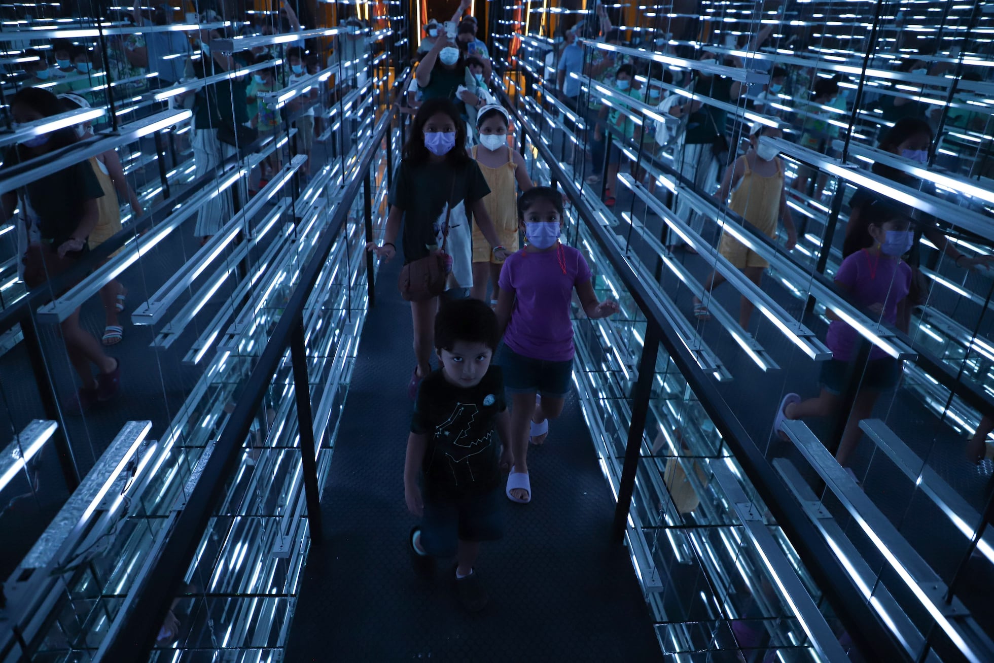 Una experiencia más que jurásica desde el golfo de México: el Museo del ...