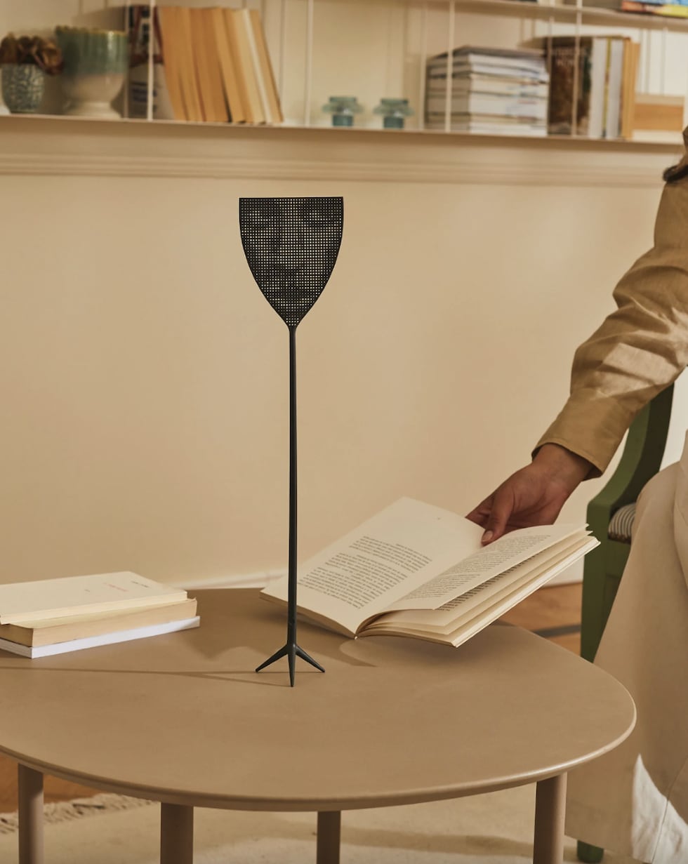 La asombrosa historia del matamoscas: de la pala con redecilla al ...