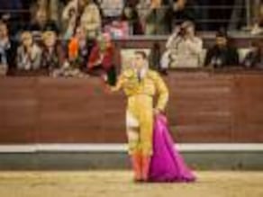 Los toros del Conde de la Maza conocen la gloria después de muertos ...