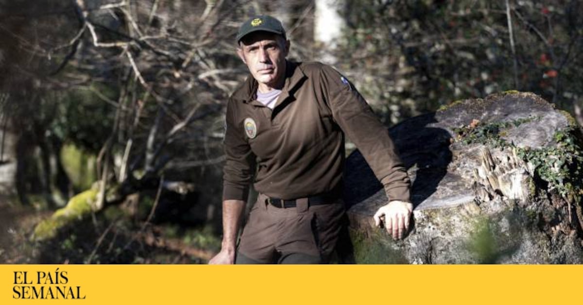 El guardabosques autodidacta que estudia en Cantabria la crisis ...