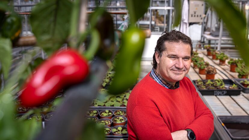 J. M. Mulet en EL PAÍS