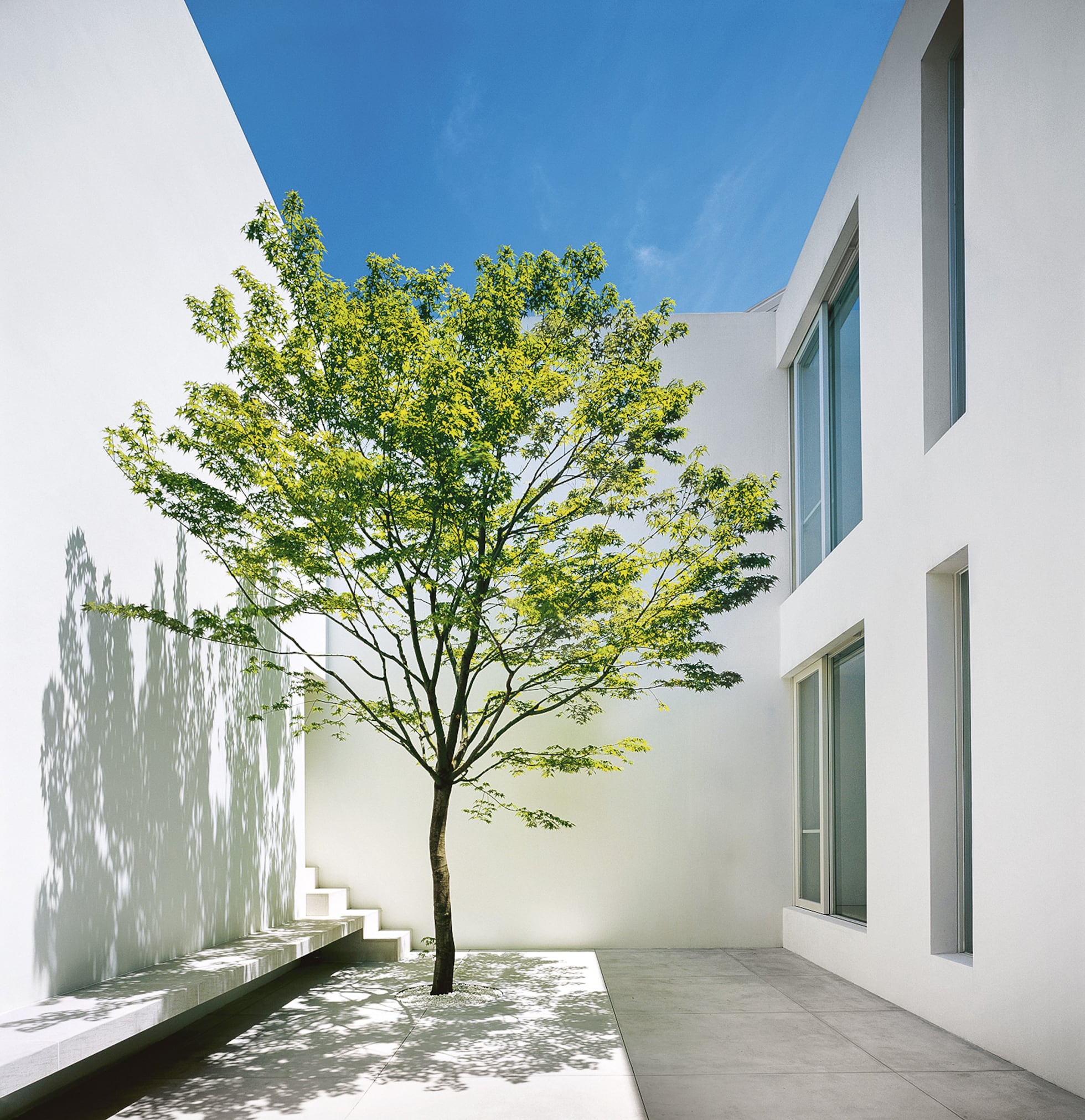 John Pawson, el hombre que popularizó el minimalismo: “Las opiniones de ...