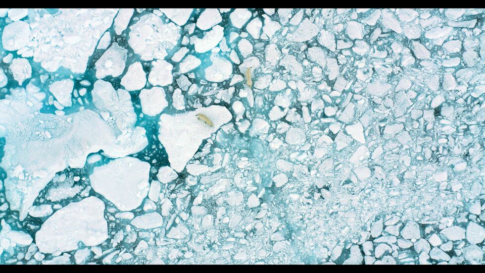 'The Last Ice': El hielo del fin del mundo | Televisión | EL PAÍS