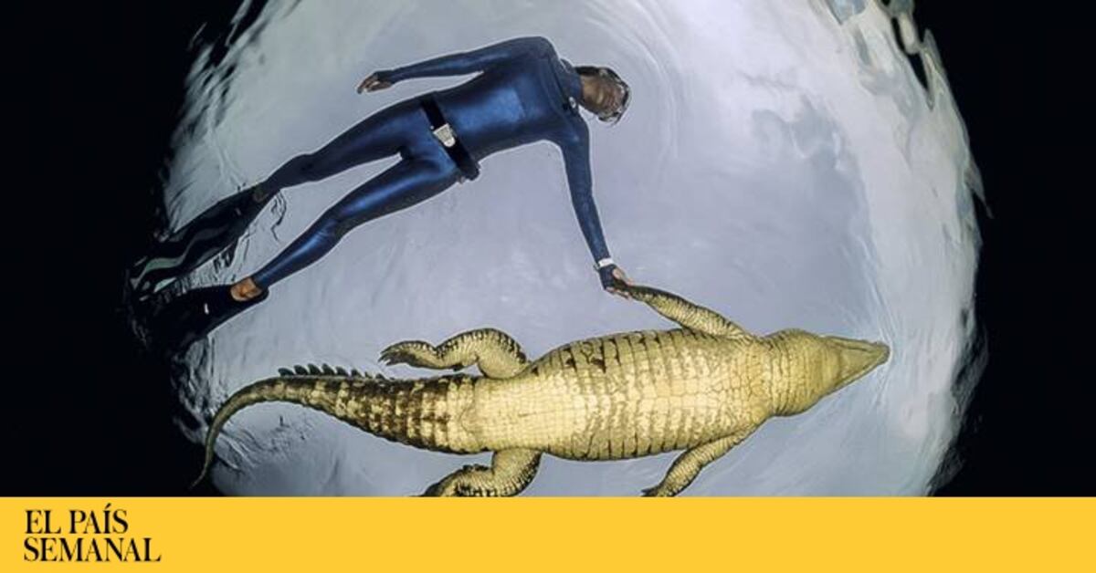 La japonesa que bucea a pleno pulmón junto a ballenas y cocodrilos | EL ...