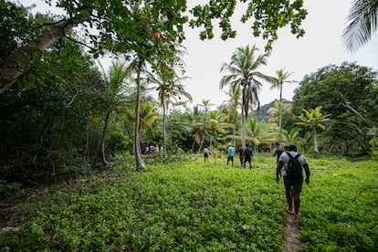 El Santuario de Acandí, un ejemplo para la conservación en Colombia ...