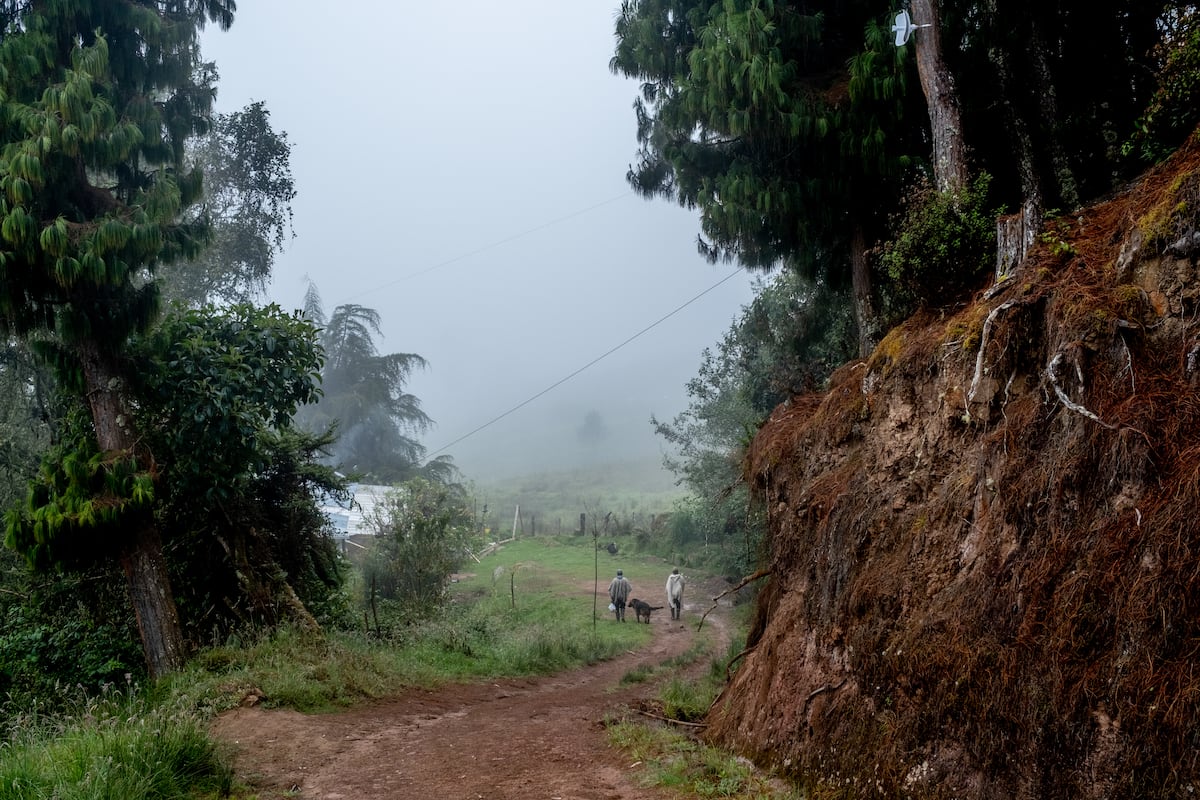 Sumapaz, la localidad rural de Bogotá que teme el resurgimiento de la ...