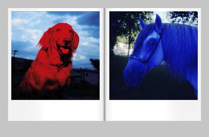 Las metáforas visuales de John Divola | Fotos | Cultura | EL PAÍS