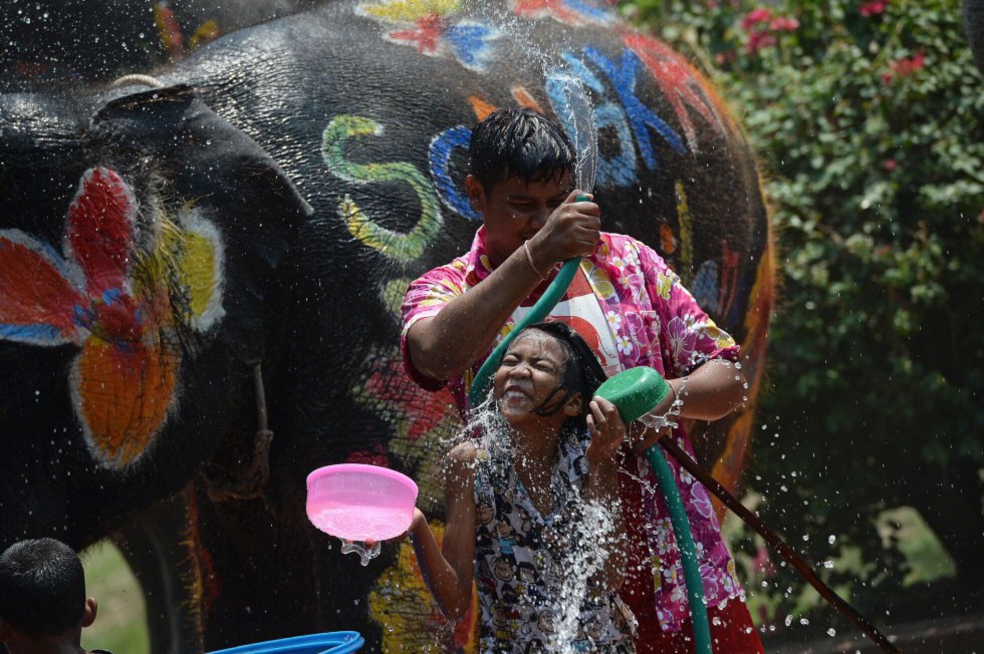 La fiesta de los elefantes | Fotos | Fotos | EL PAÍS