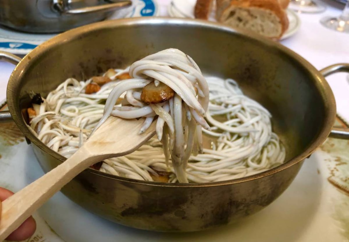 ¿Qué angulas son mejores, las de lomo blanco o lomo negro ...