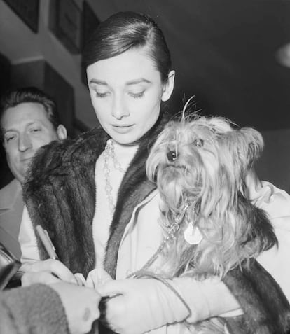Así fueron las vacaciones eternas de Audrey en Roma | Fotos | Famosos ...