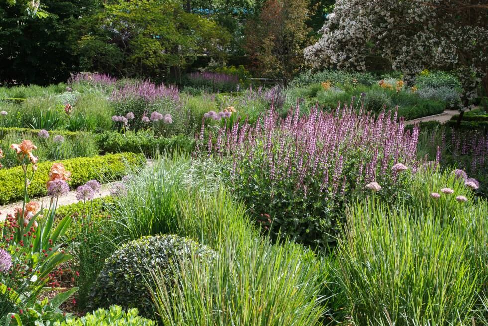Jardinería: Así es el nuevo Jardín Botánico de Madrid que firman los ...