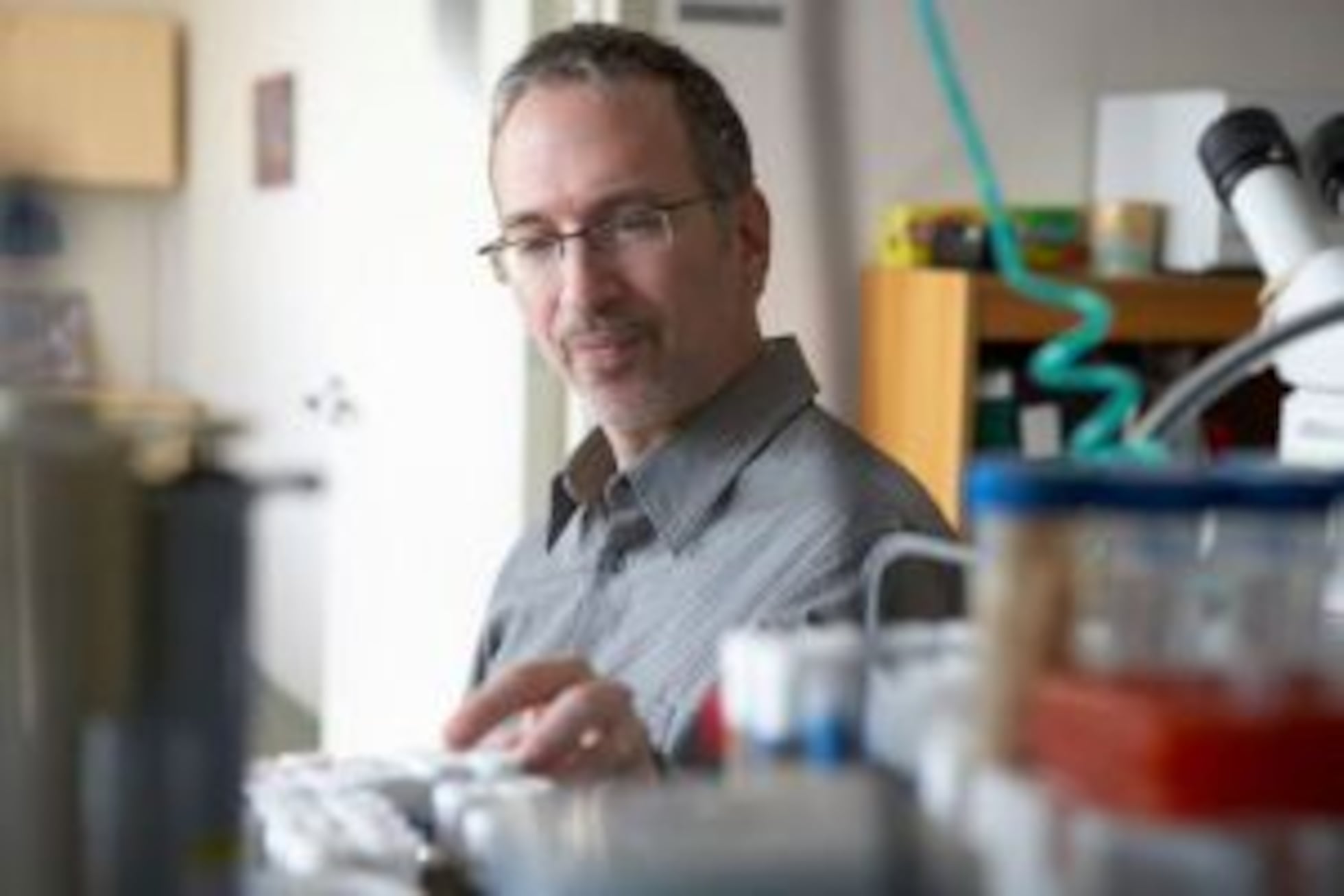 Llega la mosca avatar | Ciencia | EL PAÍS