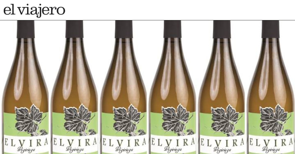 Elvira Vigiriega 2020, fuerte personalidad varietal | El Viajero | EL PAÍS