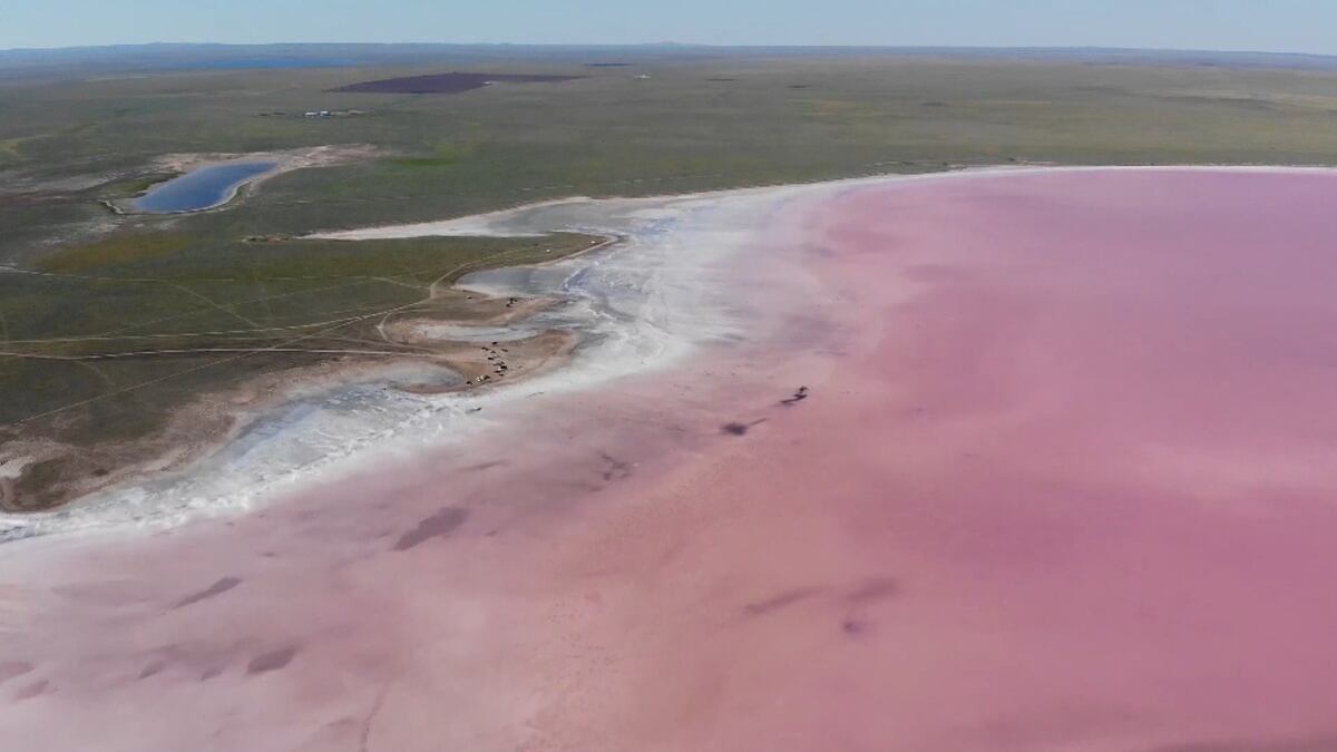 El lago rosa que lucha por su supervivencia | Vídeos | EL PAÍS