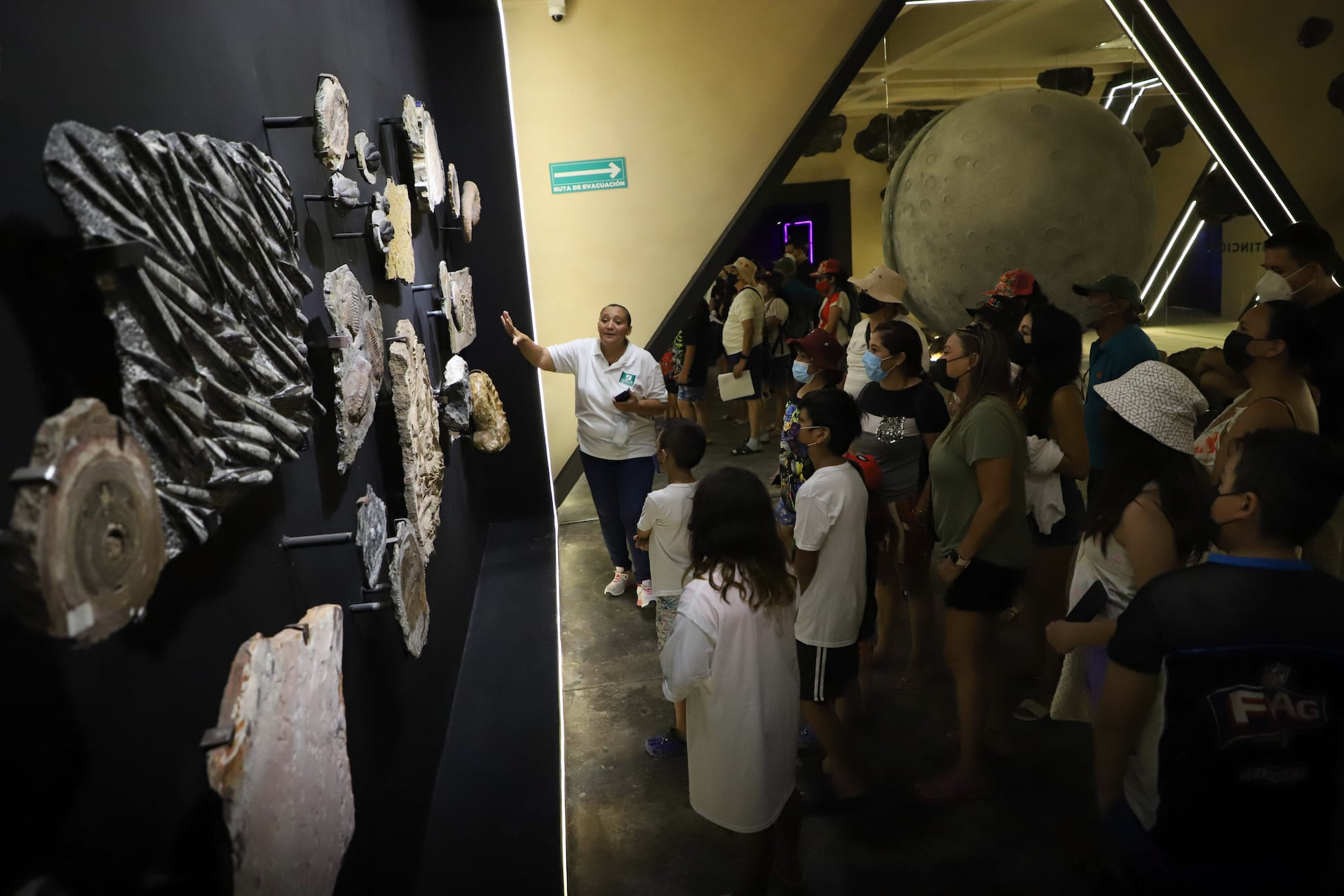 Una experiencia más que jurásica desde el golfo de México: el Museo del ...