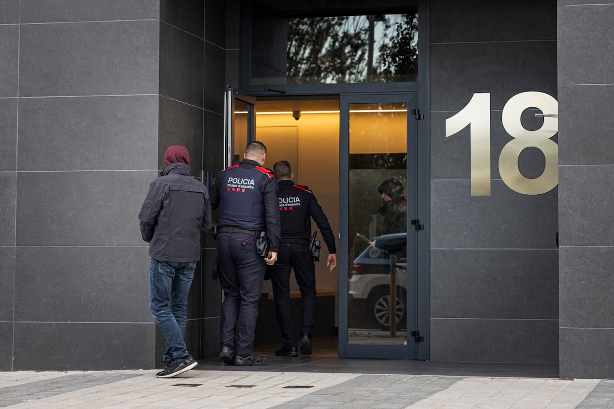 Macroperación de los Mossos contra una red de tráfico de marihuana y ...