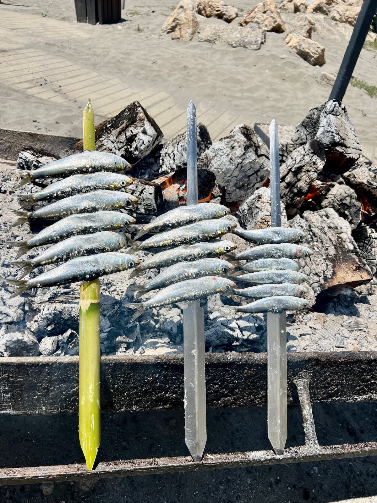 Cómo hacer un buen espeto malagueño | Gastronotas de Capel | EL PAÍS