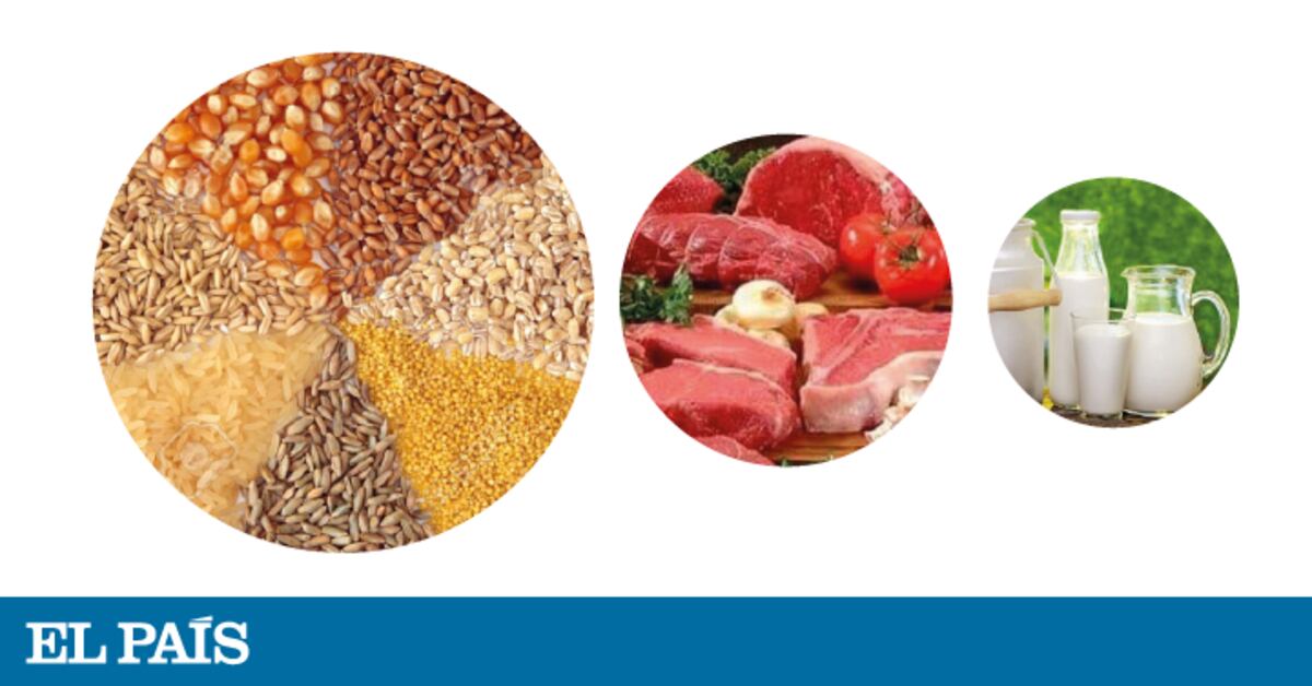 La comida que necesita el mundo | Economía | EL PAÍS