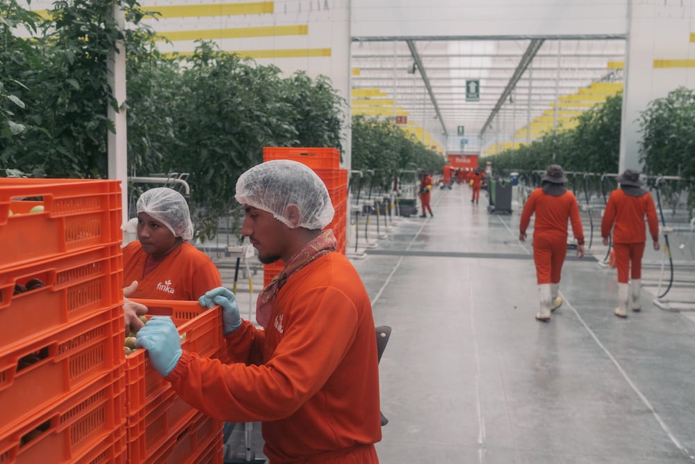 PTU: Utilidades 2025: cómo denunciar si no se recibió el pago y las ...