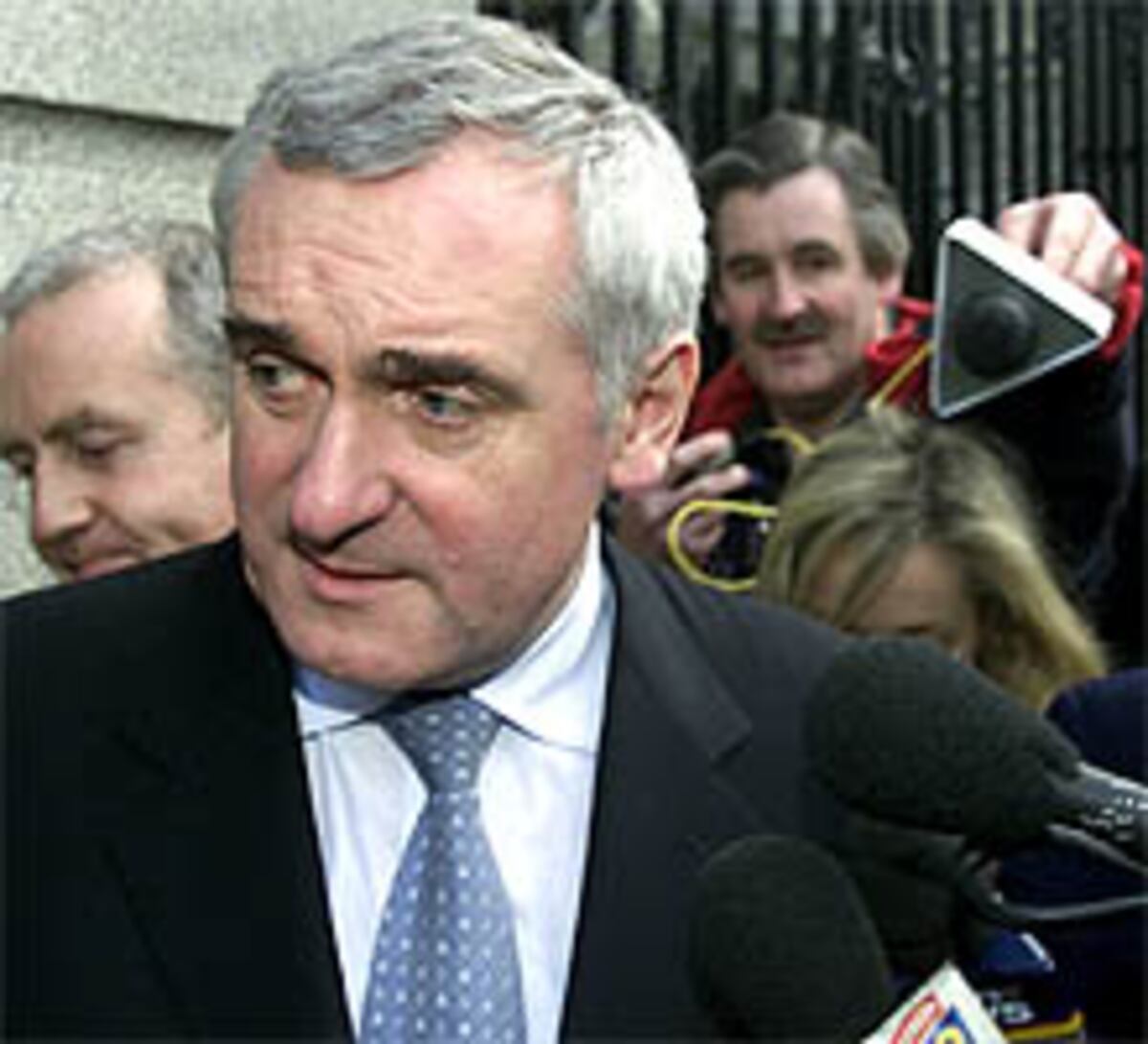 bertie | Sociedad | EL PAÍS
