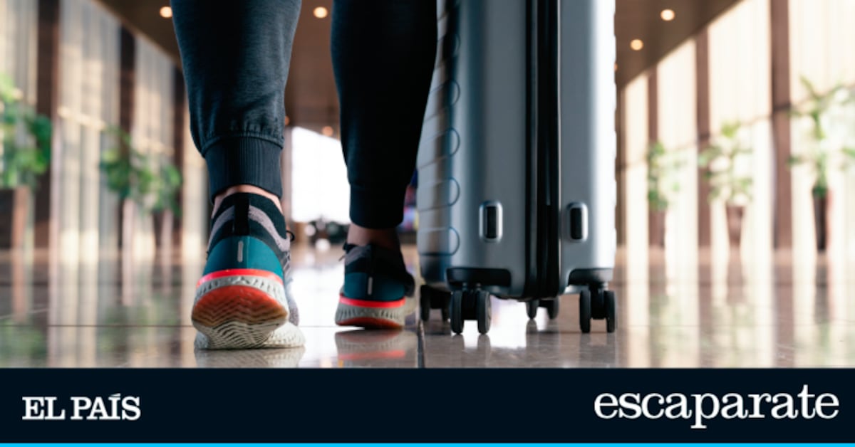 ¿Tienes que renovar la maleta de ruedas? Este modelo, que se vende en ...