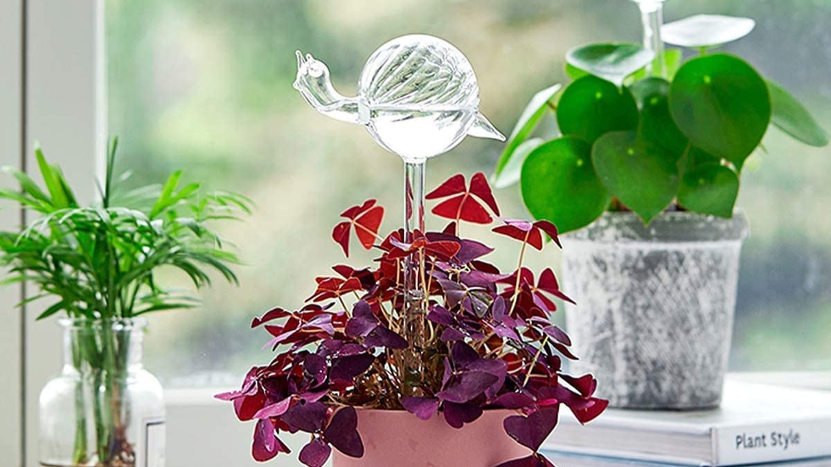 Cómo regar tus plantas en vacaciones: cinco productos con los que hacerlo por menos de 20 euros ...