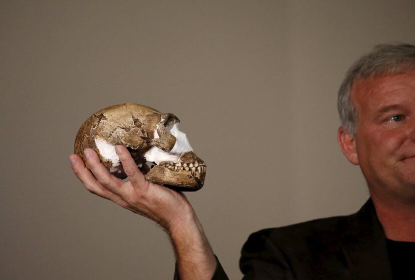 El ‘Homo naledi’, descubierto en Sudáfrica | Fotos | Ciencia | EL PAÍS