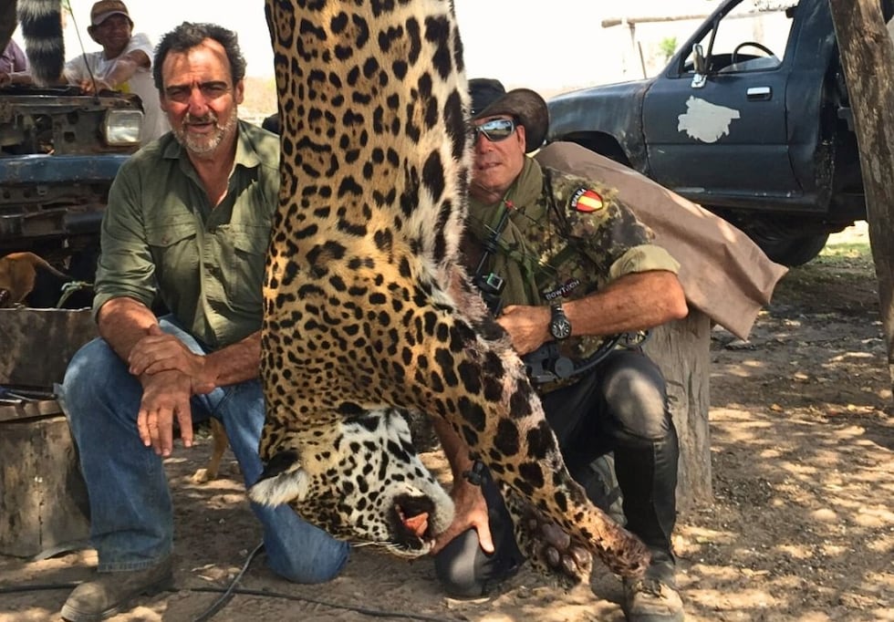 Bolivia and Argentina probe illegal hunting network that killed jaguars ...