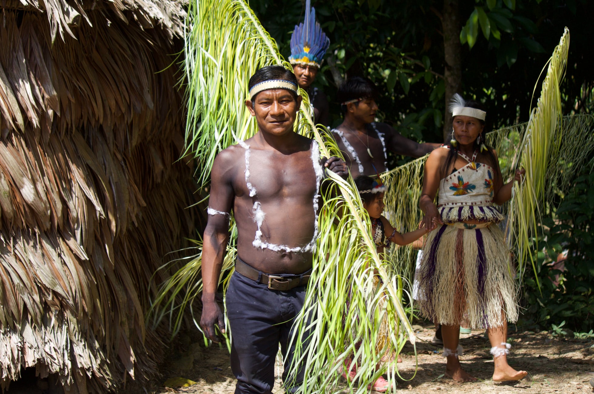 Una expedición científica para rescatar la biodiversidad de la Amazonía ...