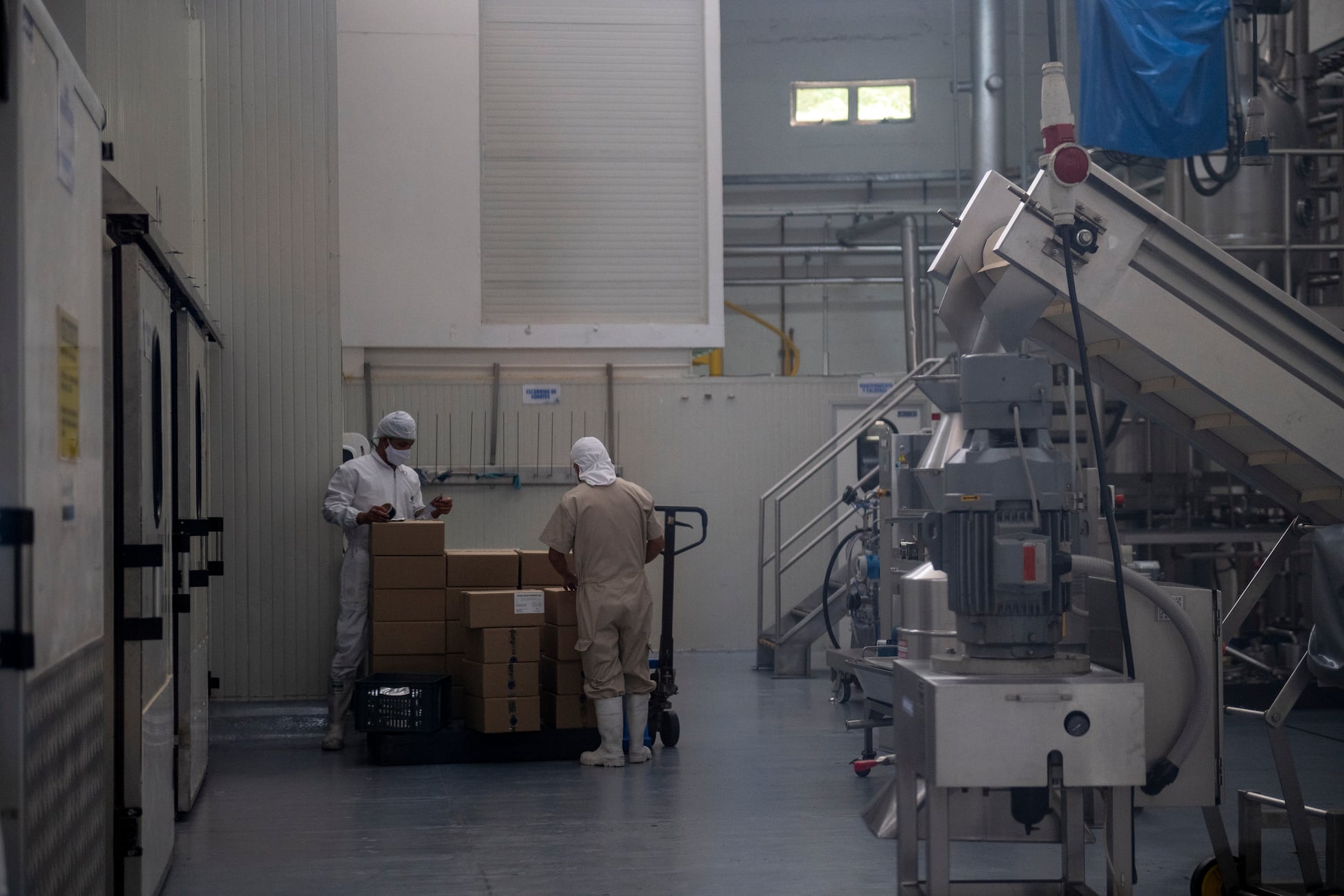 Ecoflora Cares: 15 años en busca del azul: una empresa colombiana ...